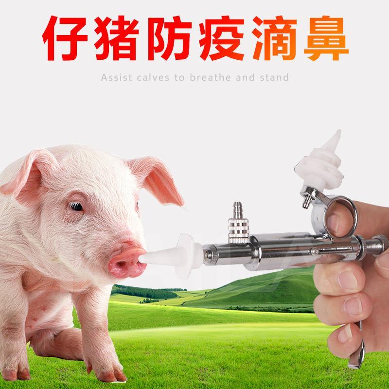 Pig nasal dropper vaccine immune nozzle veterinary piglet immune nasal ...