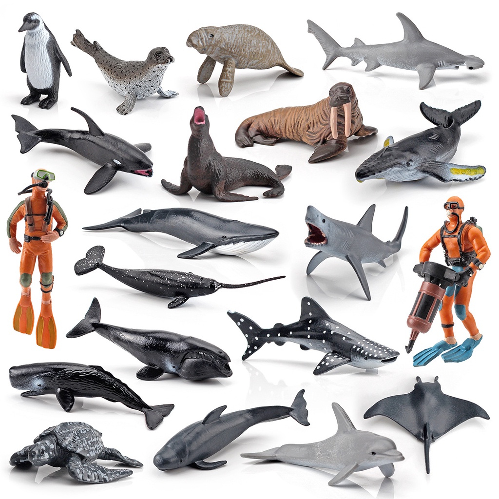Simulation Killer Whale Velcro Sea Lion Penguin Dolphin Seal Animal ...