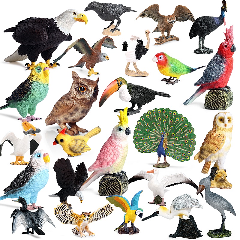 Bird Animal Parrot Peacock Owl Ostrich Crow Cassowary Model Solid PVC ...