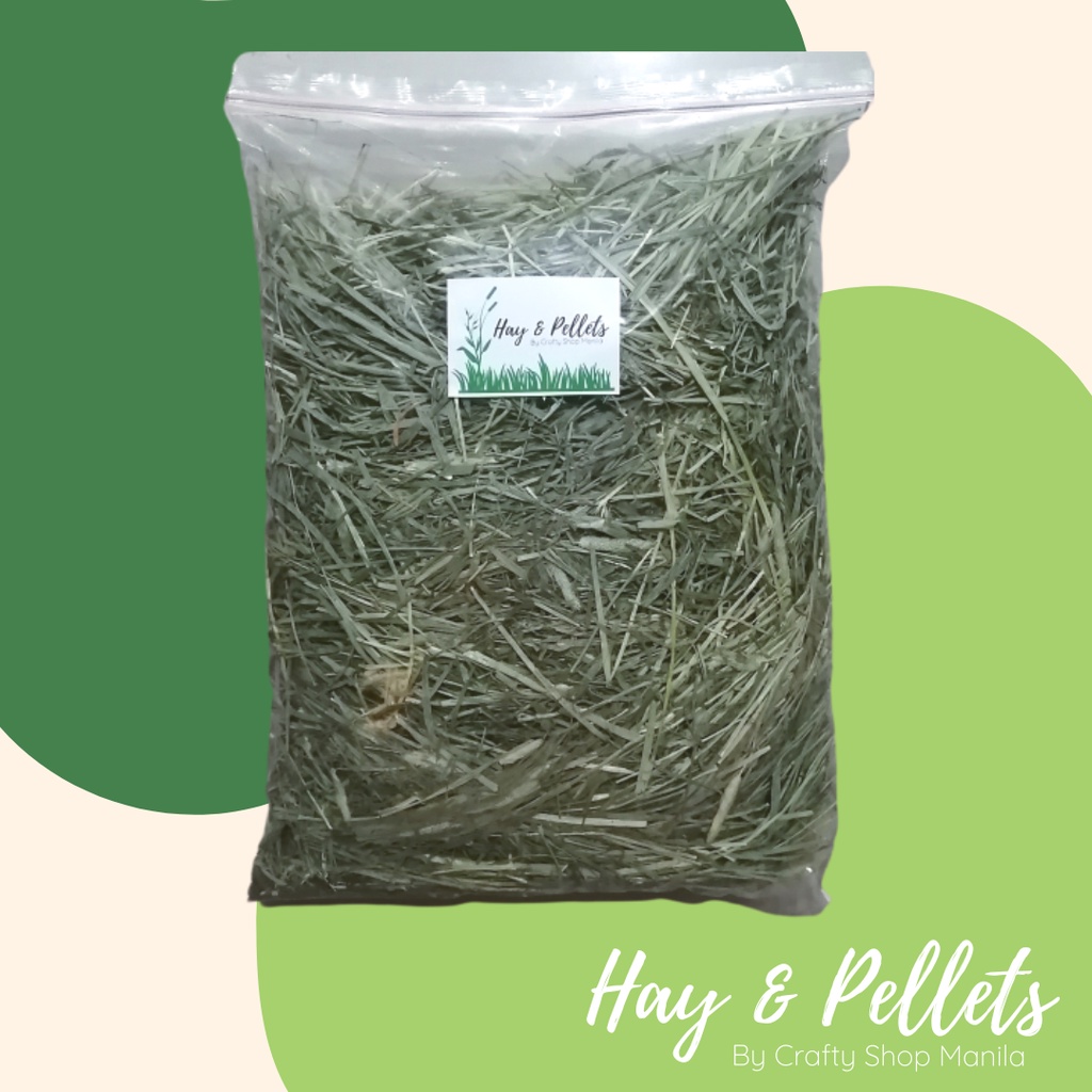 1st cut Timothy Hay - 500grams & 1kg [For rabbit, guinea pig, tortoise ...