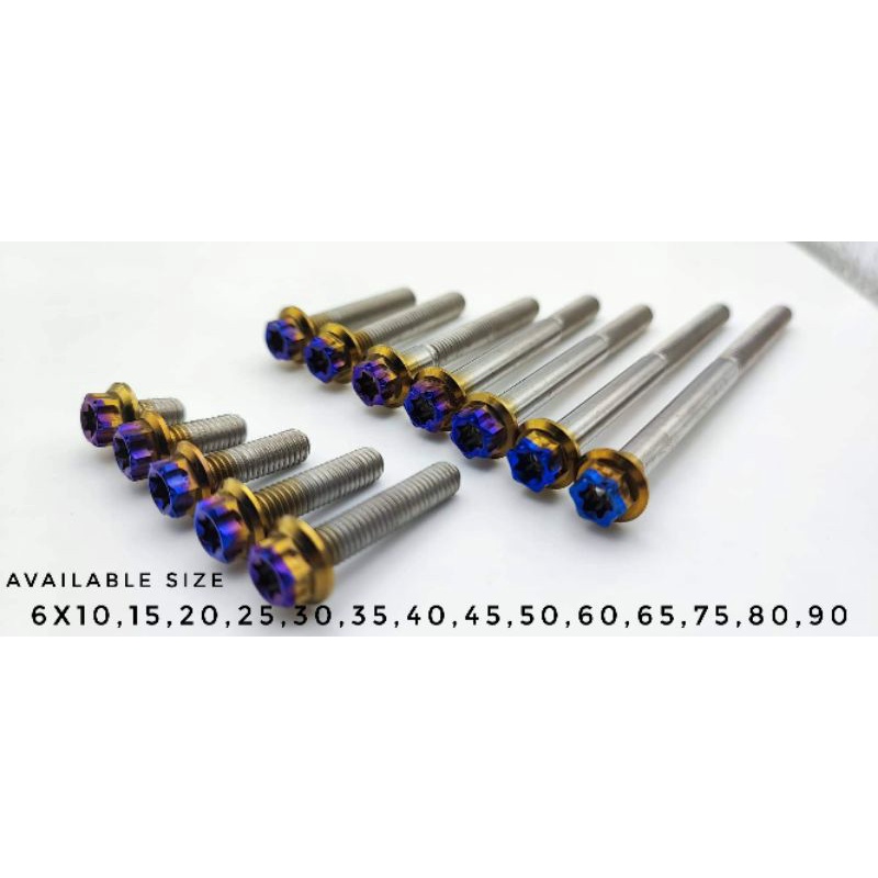 GR5 TITANIUM BOLTS BURNT/ITSALAYA DESIGN, 6X10-6X90 available size ...