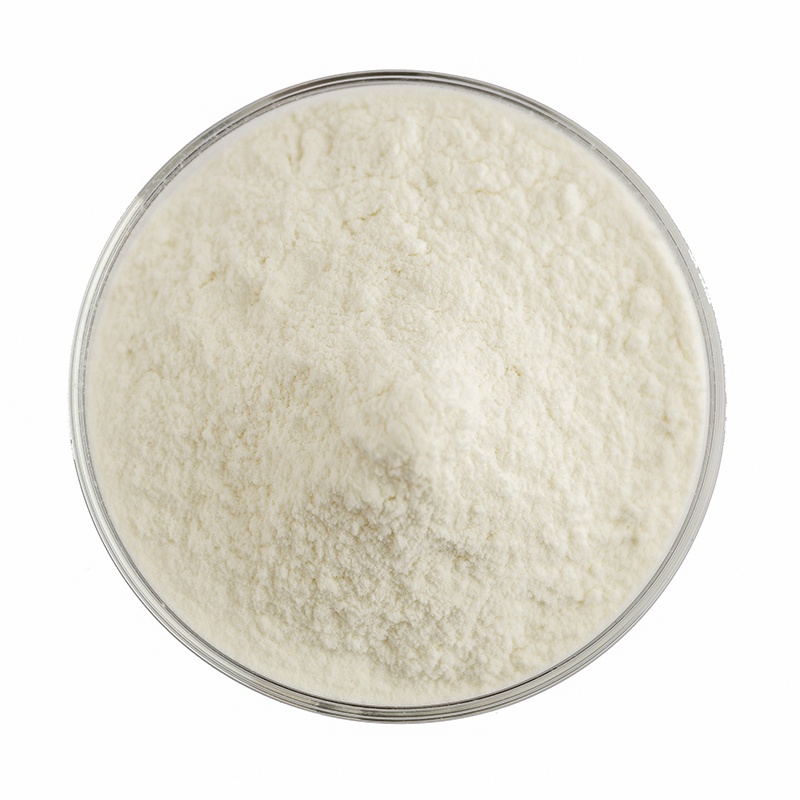 Food grade WPI 90% isolated whey protein 1000g 500g | Shopee Philippines