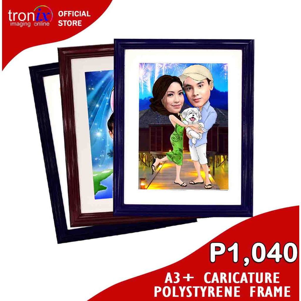 Tronix Imaging A3+ Picture Frame With Matting For 13x19 Size Photo ...