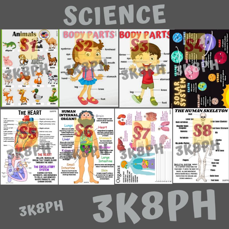125 SCIENCE LAMINATED CHART | PARTS OF BODY | SOLAR SYSTEM | HEART ...