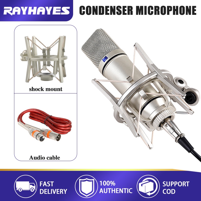 RAYHAYES U87 Condenser Microphone Live Streaming Equipment Package ...