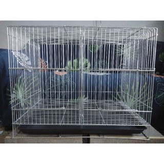 Cage - Best Prices and Online Promos - Jan 2024 | Shopee Philippines