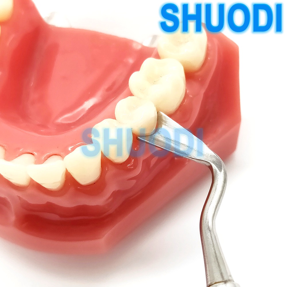 Double Ends Dental Implant Gingival Retraction Gingival Retractor ...