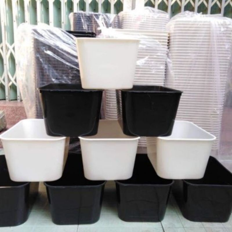 Plastic Trays For Fish Farming, Fish Farming Cream Boxes, Hamsters ...