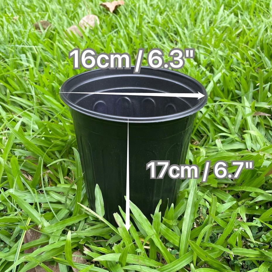 FAMILIFE 1-Dozen/12pcs (16cm-29cm) Long Thick Black PVC Pots/Durable ...
