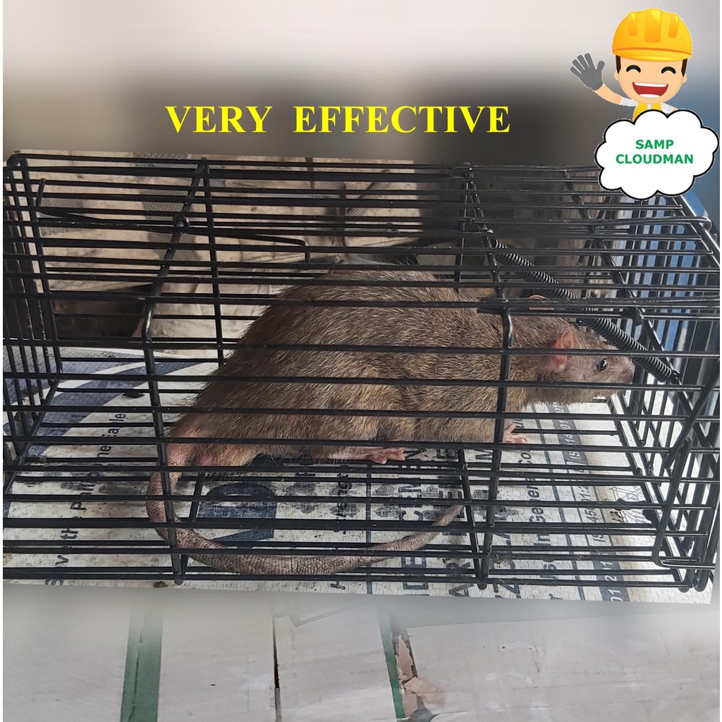 Rat Cage Matibay with Auto lock for Large RAT Heavy Duty Trap Daga ...