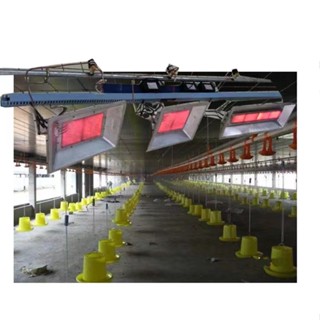 Chicken Poultry Infrared Gas Brooder Heater Swine Pig farm Gas Infrared ...