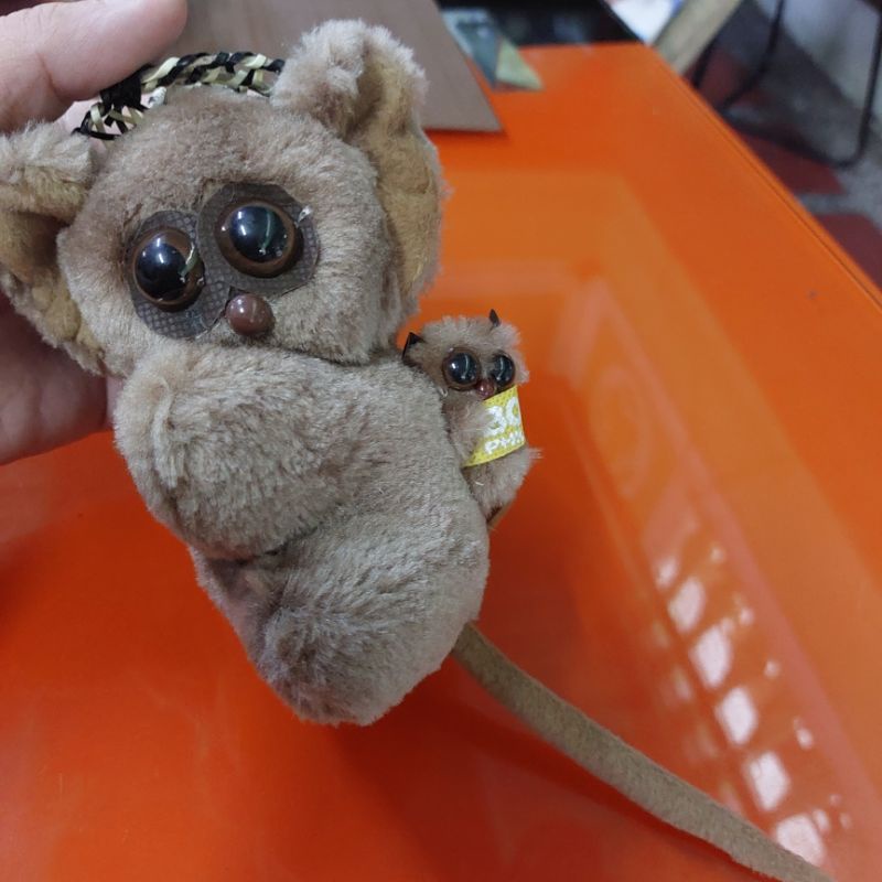 Bohol Tarsier Stuff Toy Big Orange Band Fridge Magnet Souvenir | Shopee ...