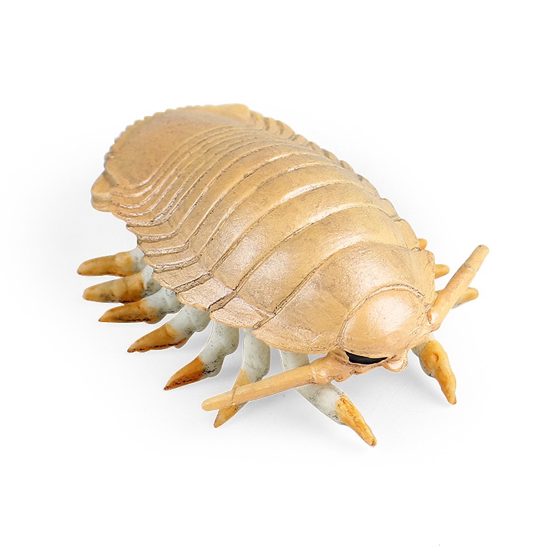 simulation marine organism giant isopod arthropoda model children ...