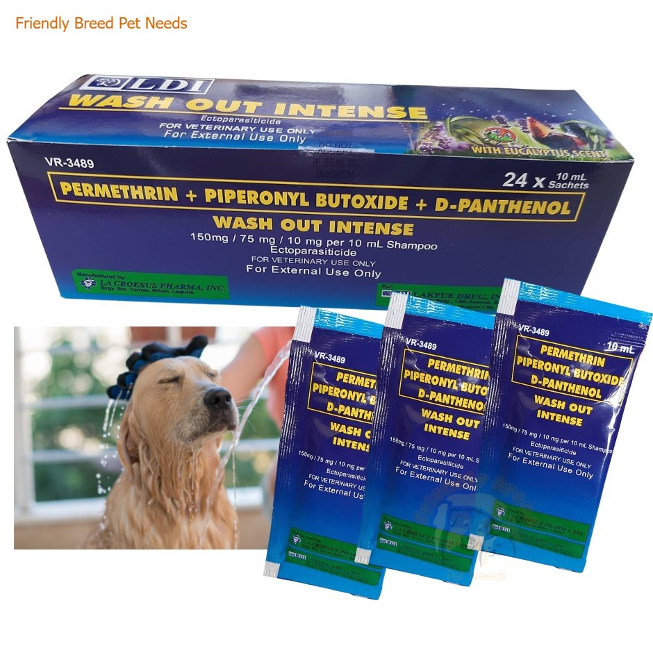 Wash Out Intense Animal Shampoo 10ml Sachet treats earmites from cocks ...