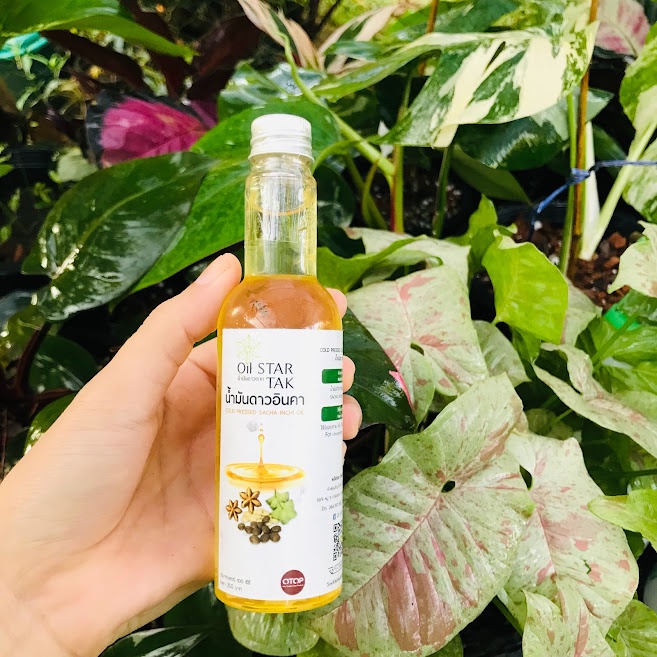 Sacha Inchi Oil Cold Pressed Pure 1 Reduce Cholesterol Pressure Have ...