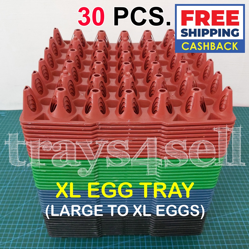 30 pcs. HEAVY DUTY XL Reusable Plastic Egg Tray | Shopee Philippines