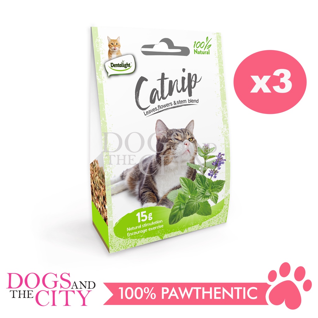 DENTALIGHT 11568 Natural Catnip 15g (3pcs x 15g) | Shopee Philippines