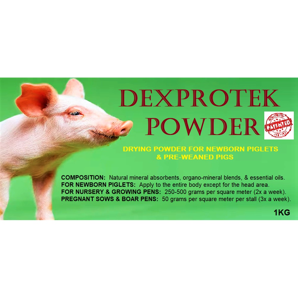 Piglet Drying Powder 1KG | Shopee Philippines