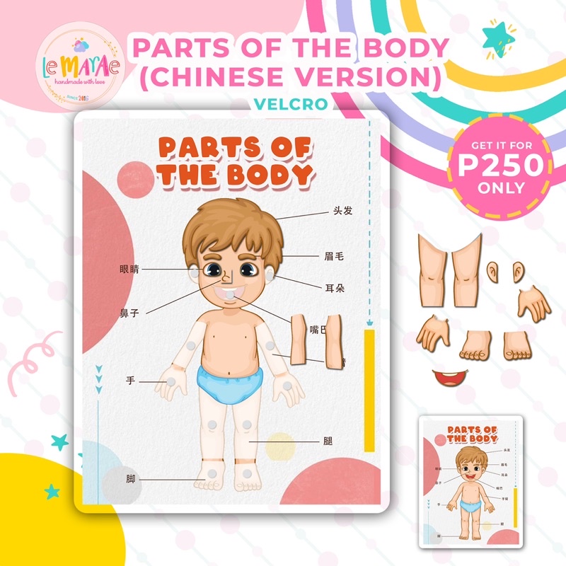 CHINESE BODY PARTS VELCRO BUSY BOOK - Laminated Educational Interactive ...