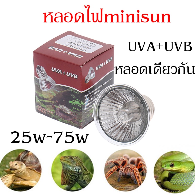 MiniSun UVA Heating Light Bulb /UVB 3.0 Water Turtle Reed Light Land ...