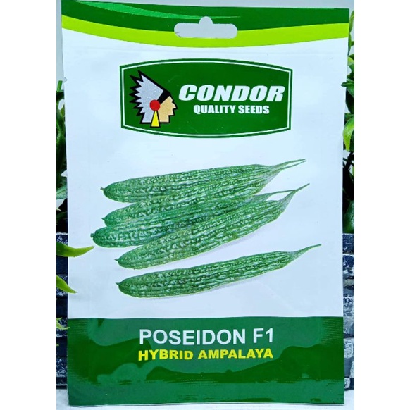 Poseidon F1 '' Hybrid Ampalaya '' Condor Sachet ( 3gms ) | Shopee ...