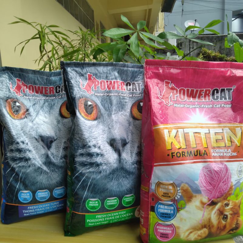 PowerCat Kitten and Adult 7kg/8kg | Shopee Philippines