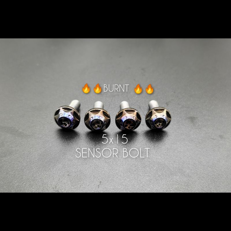 Gr5 titanium bolts, 5x15 sensor bolt etc | Shopee Philippines
