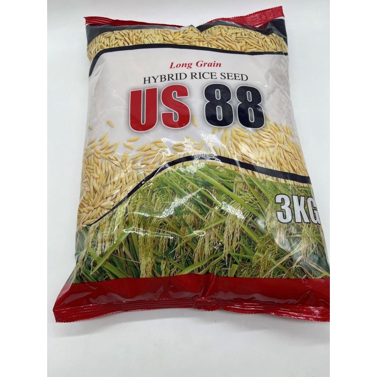 US 88 HYBRID RICE SEEDS 3 KILOGRAMS PACK | Shopee Philippines
