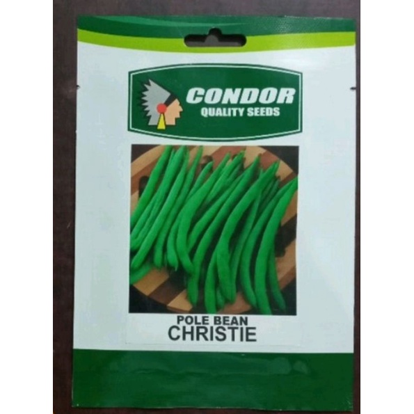 CHRISTIE OPV POLE BEAN SEEDS 19 GRAMS (CONDOR) | Shopee Philippines