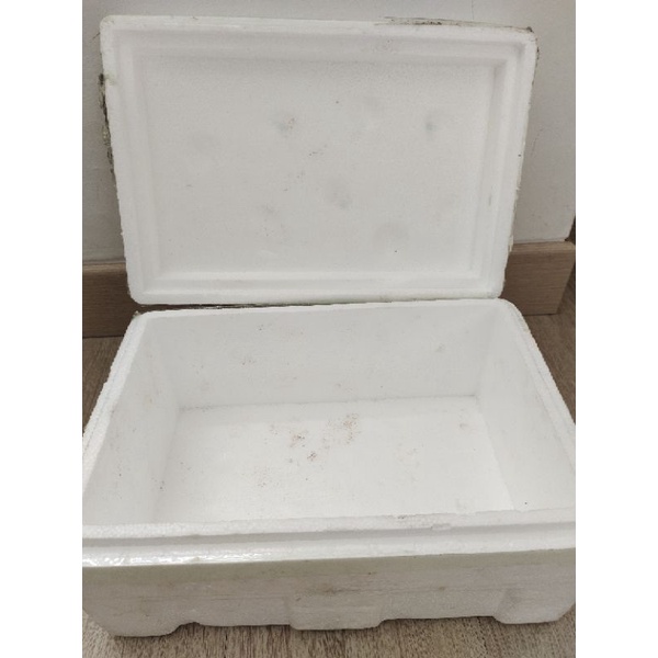Styrofoam Box (Small) | Shopee Philippines