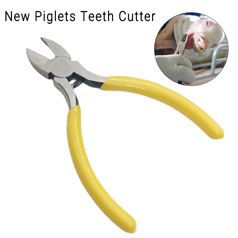 Mini Pig Teeth Cutter Stainless Steel Piglets Teeth Clipper Teeth ...
