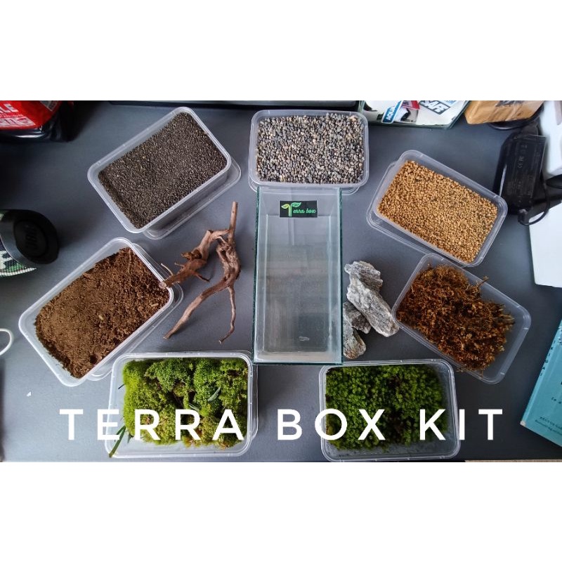 TERRA BOX TERRARIUM KIT Complete Set up | Shopee Philippines