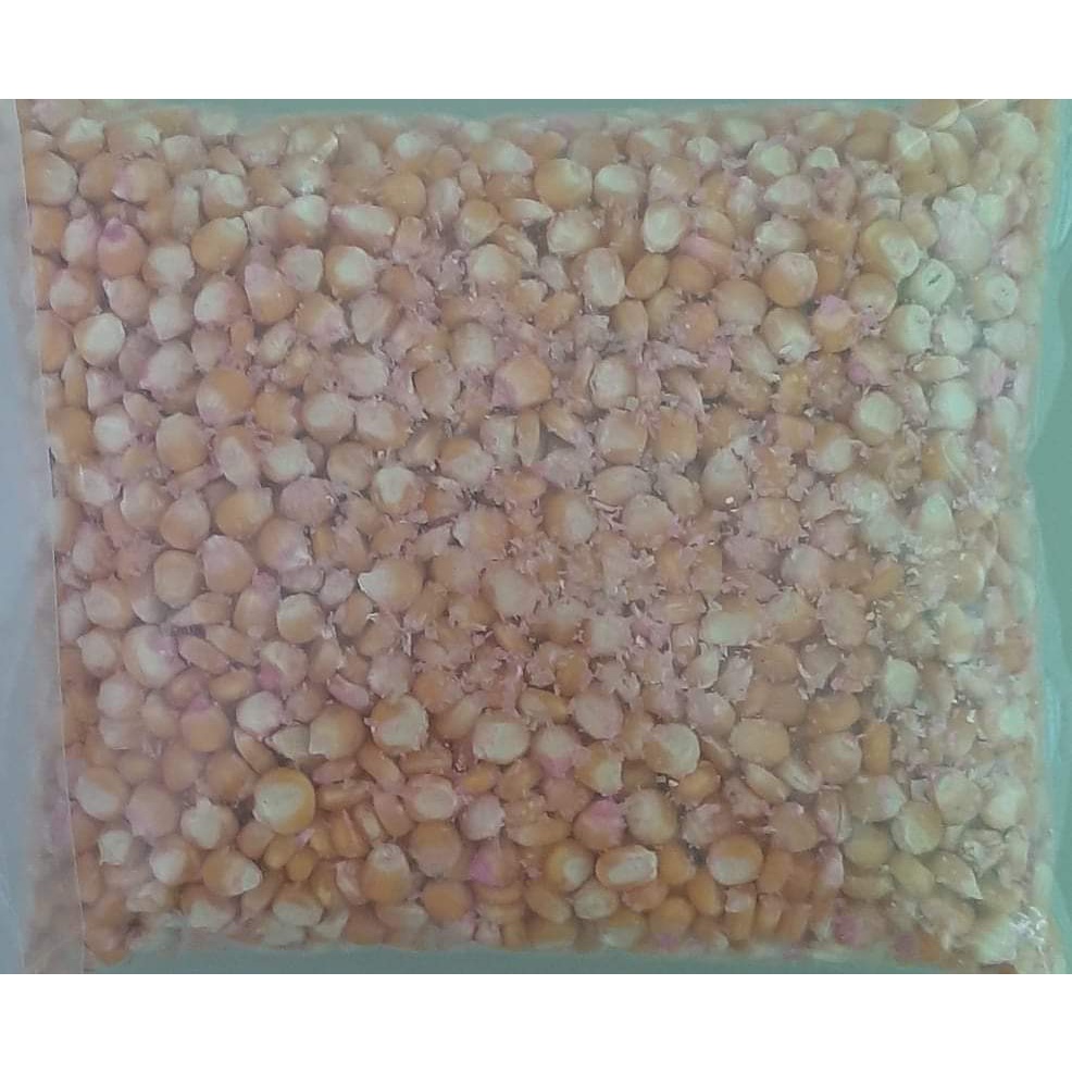 IPB VAR11 Yellow Corn Planting Seeds (1kl pack) | Shopee Philippines
