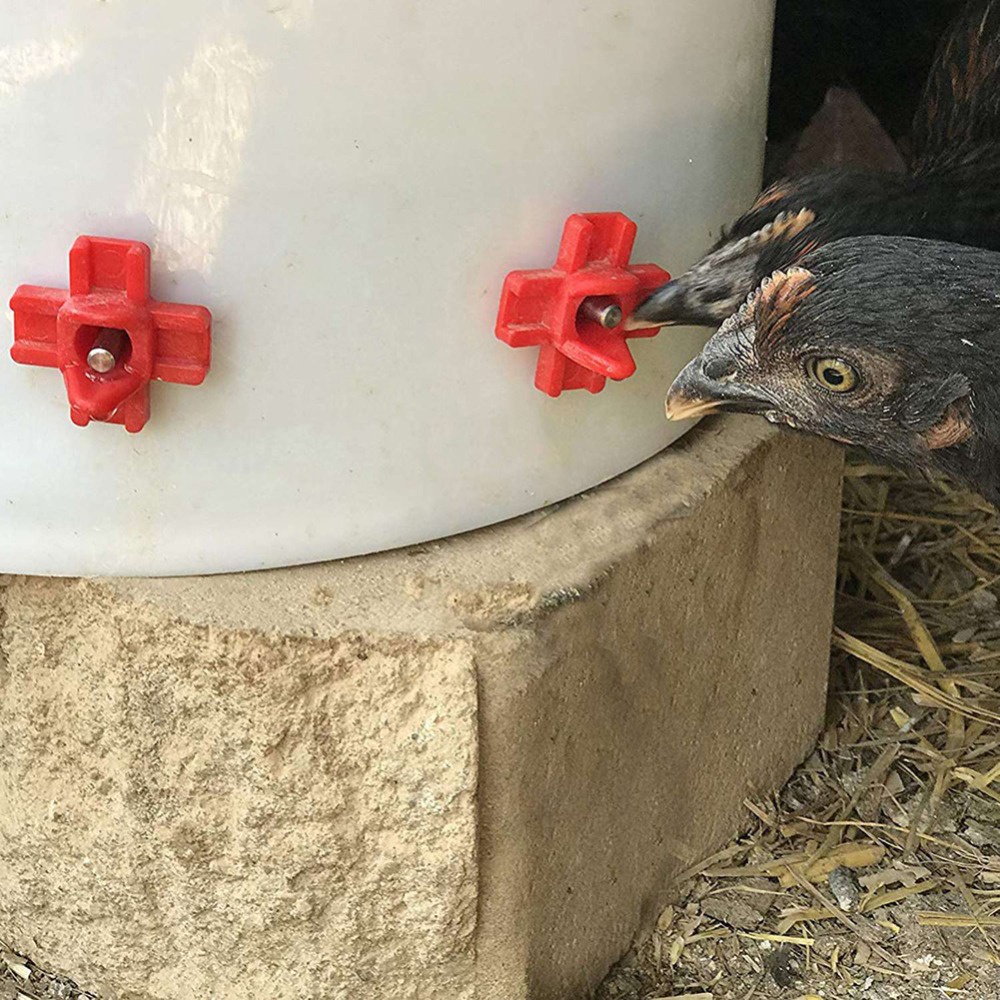 10 Pcs Chicken Drinker Waterer Horizontal Side Mounted Poultry Waterer ...
