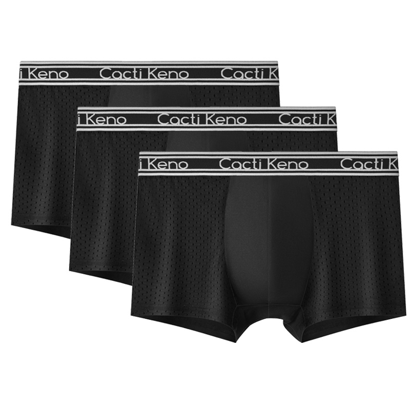 Cacti Keno 3pcs Mesh Boxer Briefs for Men Plus Size Bamboo Fiber ...