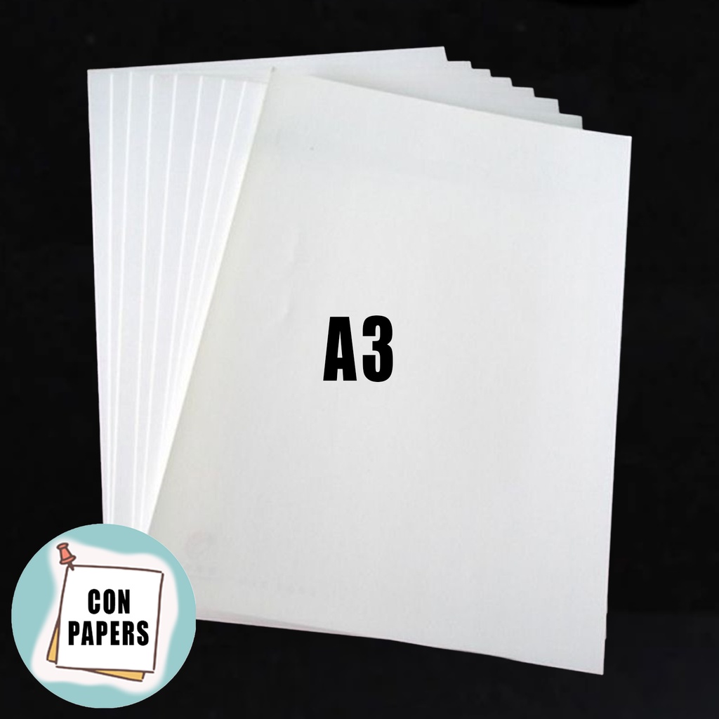 Snow White Paper A3 w/ FREE Carton Tube | Shopee Philippines