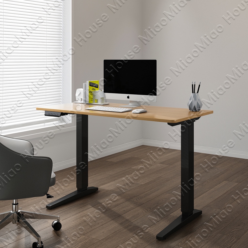 Electric Height Adjustable Desk Dual Motor Ergonomic Standing Desk 75 ...