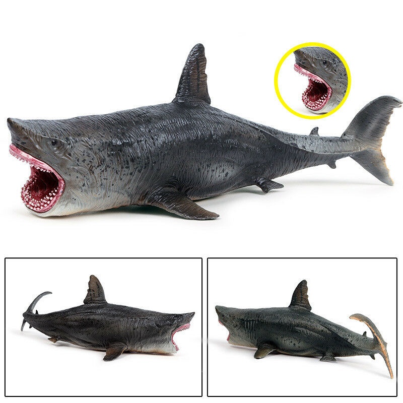 Durable Megalodon Figure Ancient Shark Wild Animal Pvc Toy Perfect For ...