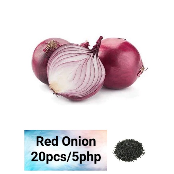 Red Onion Seeds (20pcs) | Shopee Philippines