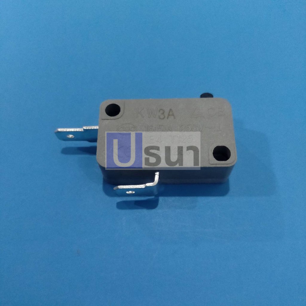 Micro Switch 2 Pin NC 16 (4)A 250V KW3A (1 Unit) | Shopee Philippines