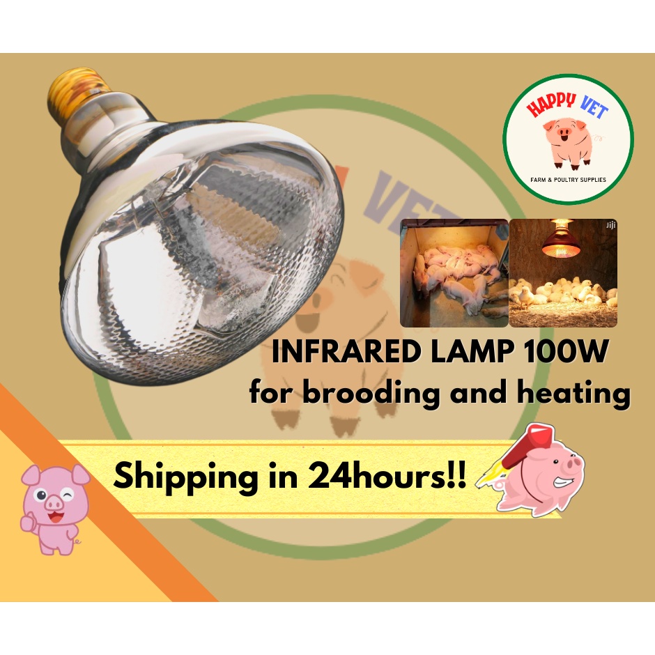 BROODER Heat LAMP Bulb 100 watts for animals Happy Vet 100W BULB ...