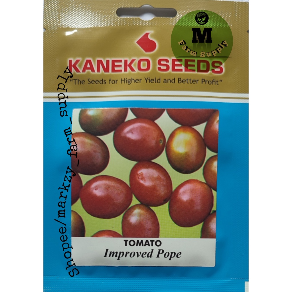 Tomato Improved Pope Kaneko High Quality Seeds | Shopee Philippines