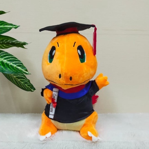 Pokemon Squirtle Graduation Doll Size 20cm/toga doll/Graduation Gift ...