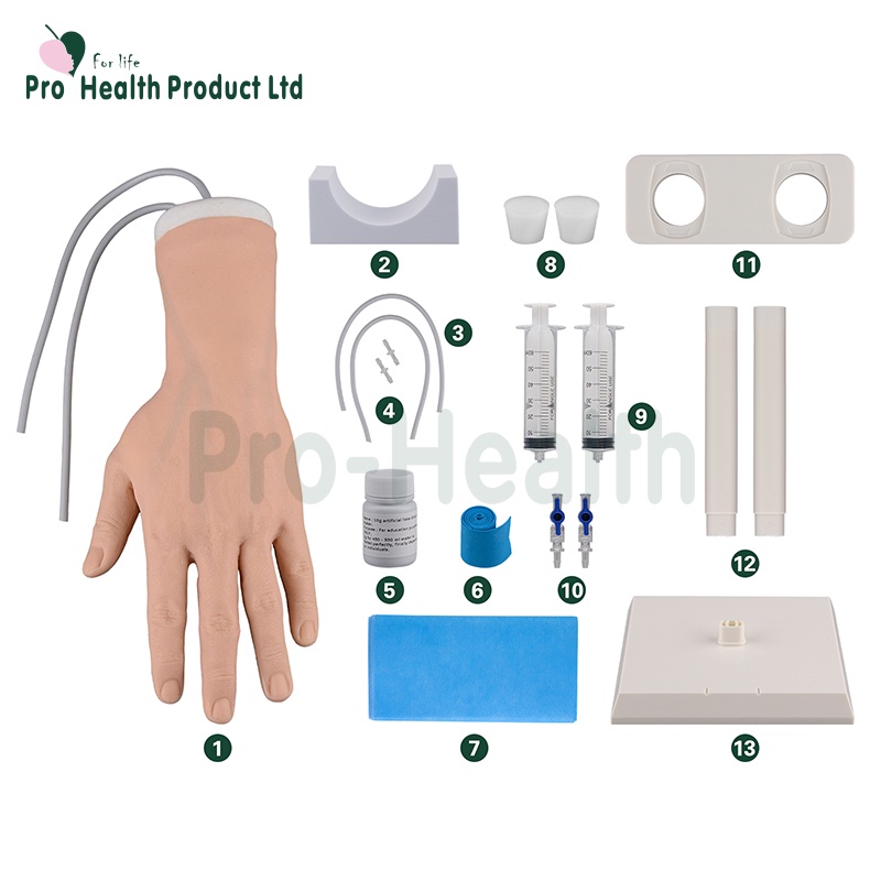 Venipuncture Hand Practice Kit for Infusion Exercises, IV Injection ...