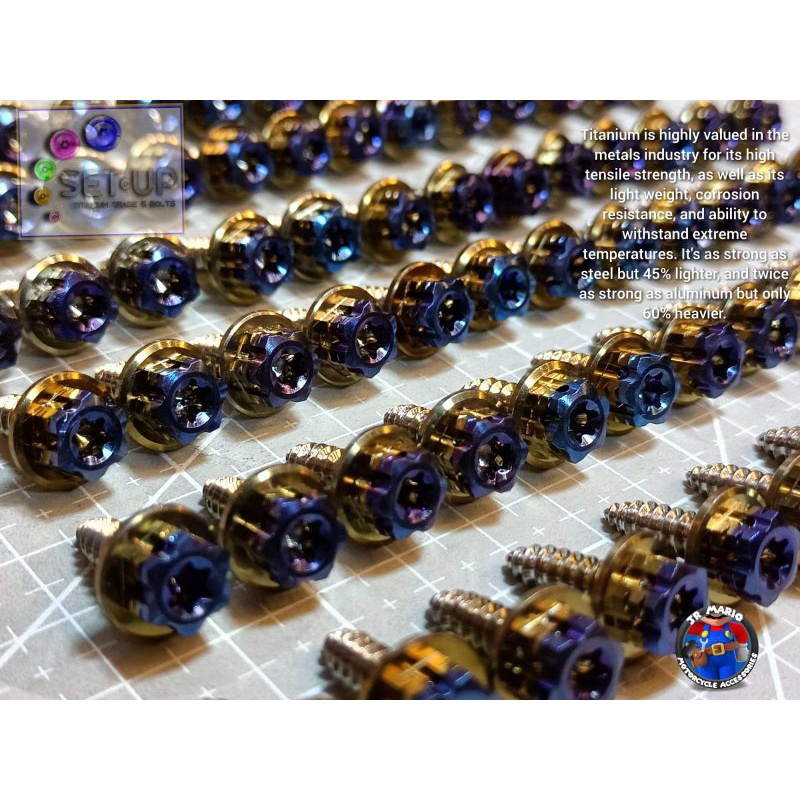 TITANIUM GR5 BURN SALAYA HEAD BODY BOLTS 5x15 ( Sold per piece ...