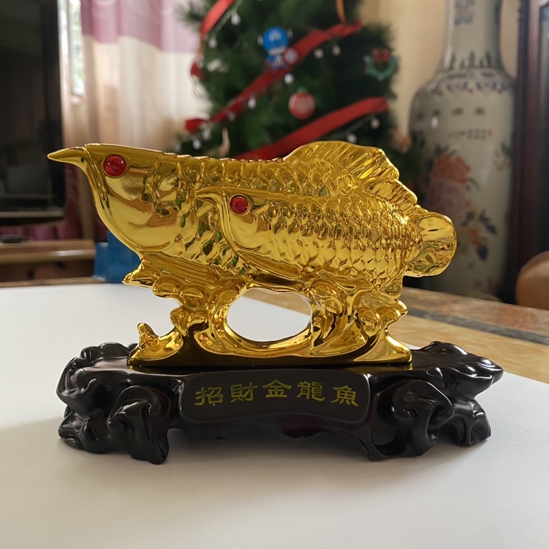 Lucky Double Arowana Display Size:H14cm x L18cm x W7cm | Shopee Philippines