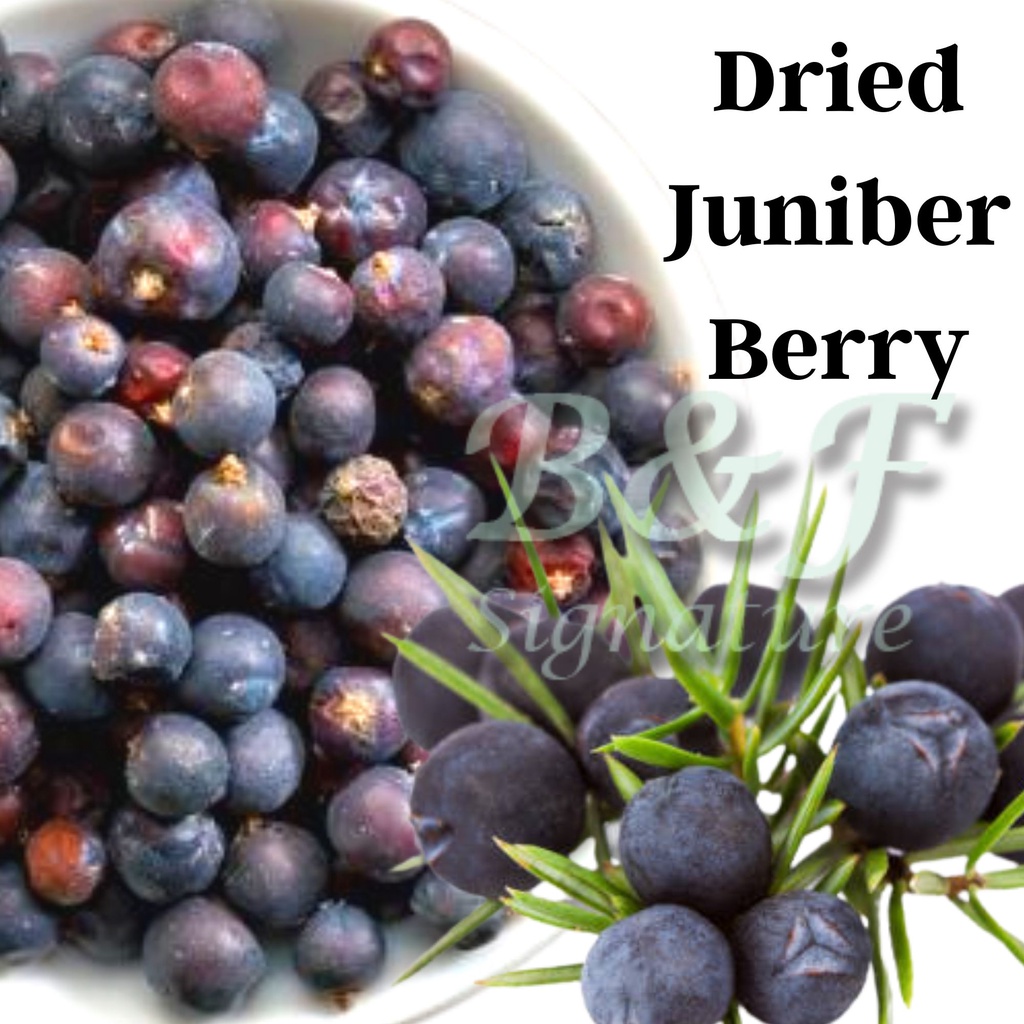 Juniper Berry Whole 50g - 500g Juniber Berries Juniper Corn | Shopee ...