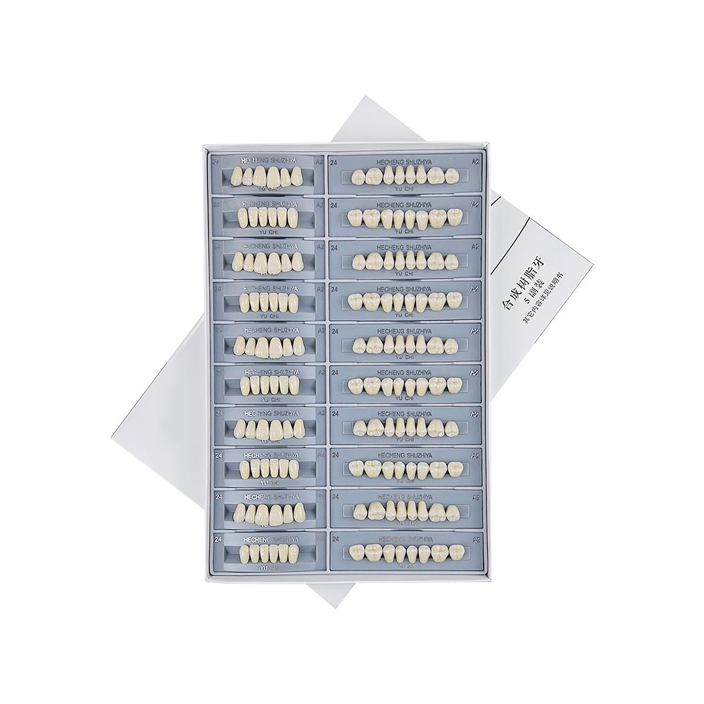 5 Set Resin Denture Teeth Dental Full Set Model Anterior Posterior Full ...