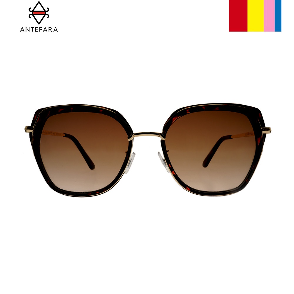 Antepara COLOMBIA DHAV Dark Havana Geometric Sunglasses For Women ...