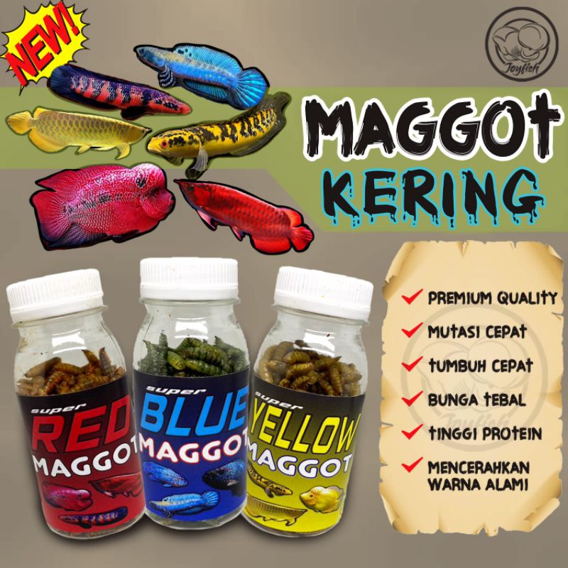 Dry MAGGOT blue yellow red 10gr channa Feed Fish Feed | Shopee Philippines
